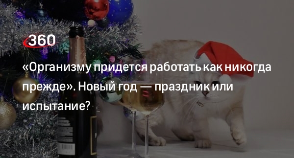 Как не отравиться алкоголем в новогоднюю ночь. Советы врачей | 360.ru