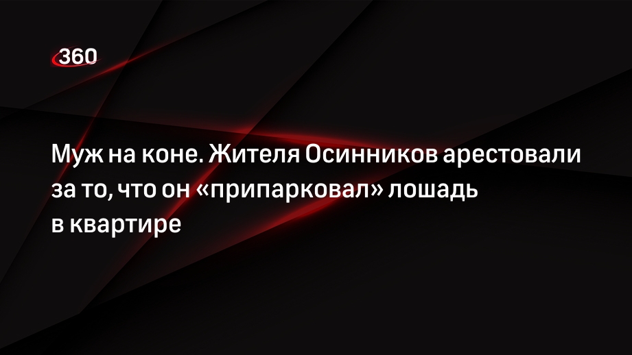 Муж на коне. Жителя Осинников арестовали за то, что он «припарковал» лошадь в квартире | 360.ru