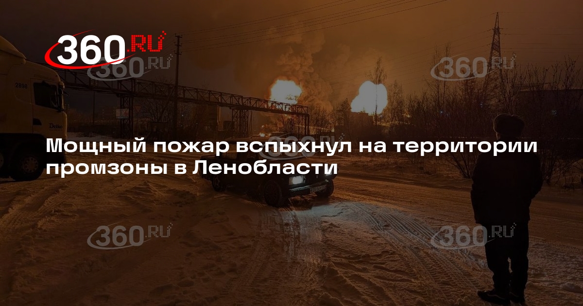Мощный пожар вспыхнул на территории промзоны в Ленобласти | 360.ru