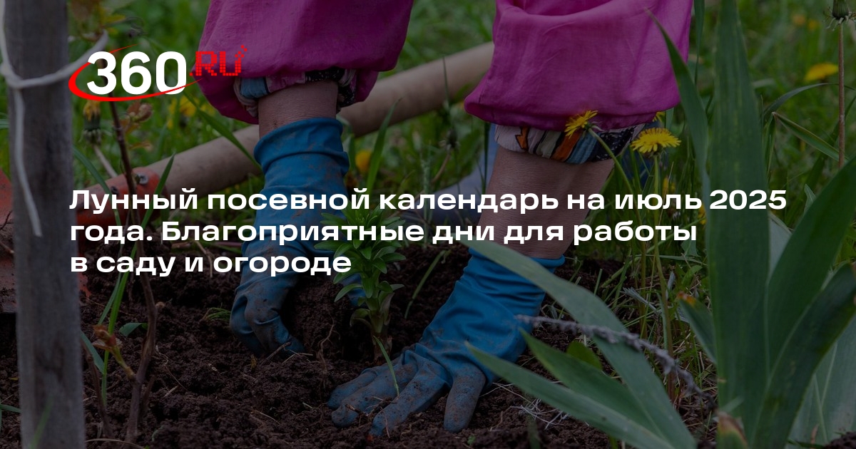 Лунный посевной календарь на июль 2025 года для садоводов и огородников: какие дни благоприятны ...