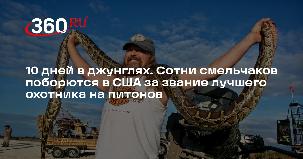 Охота на питонов в США: что известно о соревнованиях по ловле змей во Флориде | 360.ru