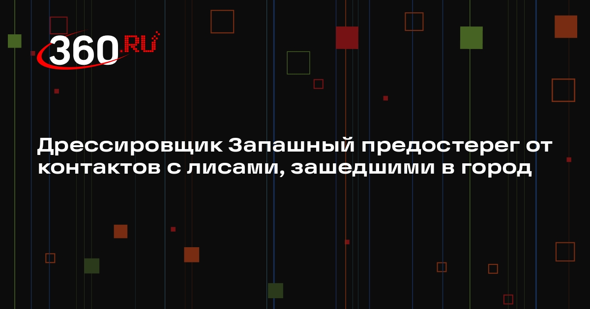 Дрессировщик Запашный предостерег от контактов с лисами, зашедшими в город | 360.ru